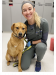 About Us - Dallas Animal Urgent Care | Same Day Emergency and Urgent ...