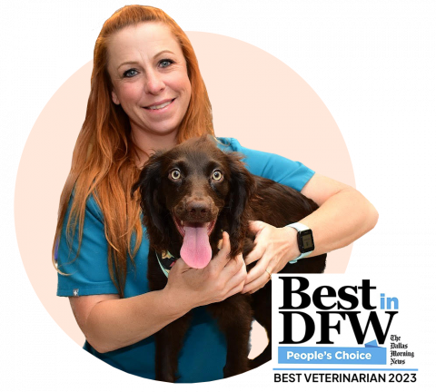 Emergency Pet Services - Dallas Animal Urgent Care | Same Day Emergency ...