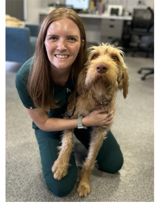 About Us - Dallas Animal Urgent Care | Same Day Emergency and Urgent ...