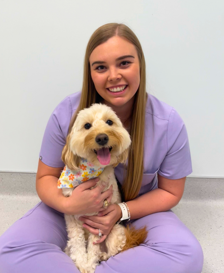 About Us - Dallas Animal Urgent Care | Same Day Emergency and Urgent ...