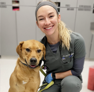About Us - Dallas Animal Urgent Care | Same Day Emergency and Urgent ...