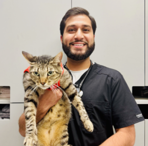 About Us - Dallas Animal Urgent Care | Same Day Emergency and Urgent ...